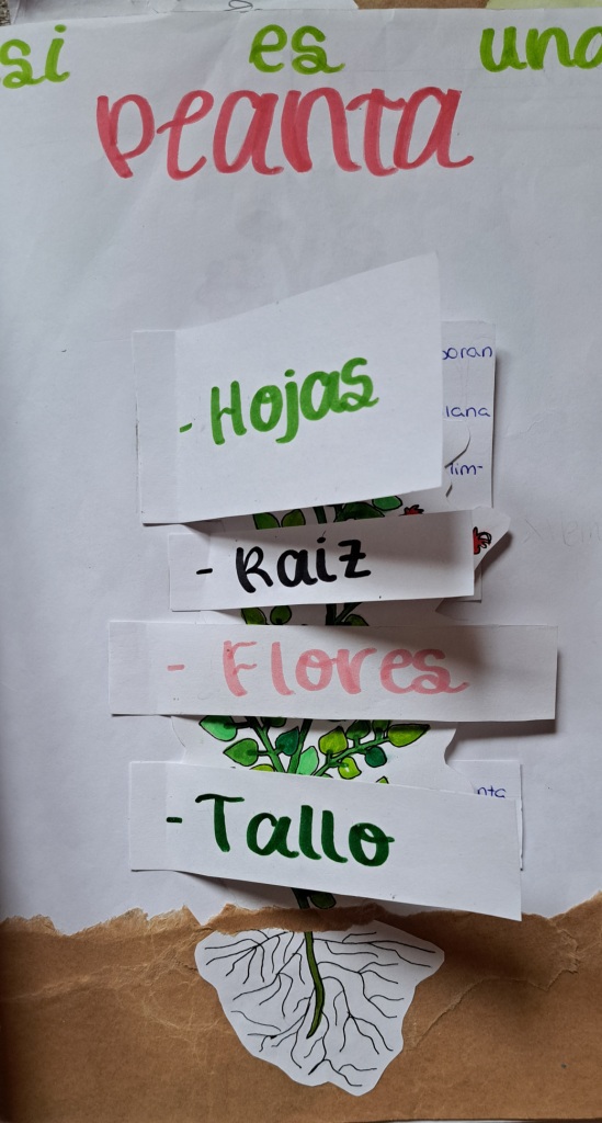 El libro de las plantas. 1º ESO – IES Los Olivos Mejorada