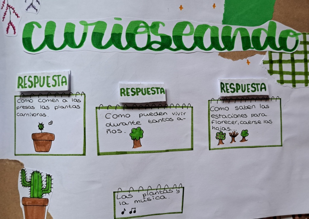 El libro de las plantas. 1º ESO – IES Los Olivos Mejorada